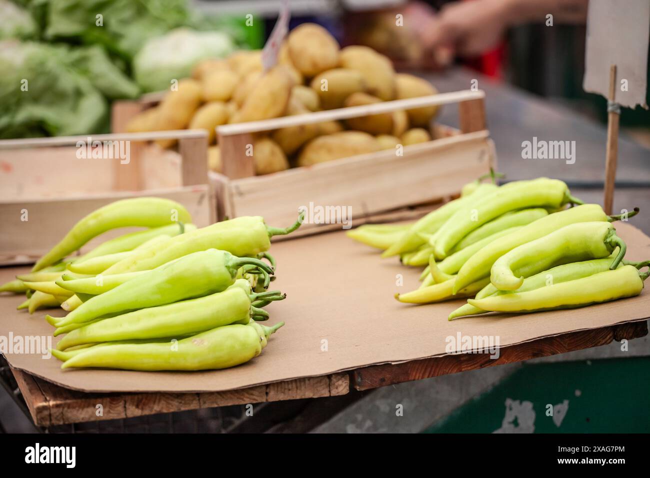 Green pepperoni capsicum frutescens hi-res stock photography and images ...