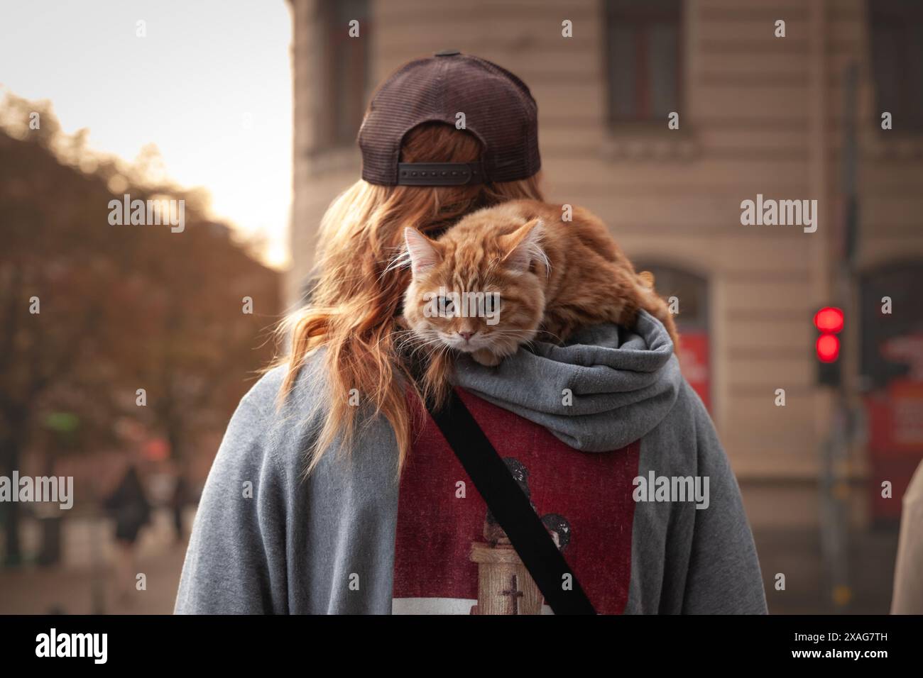 Ginger cat on shoulder man hi-res stock photography and images - Alamy