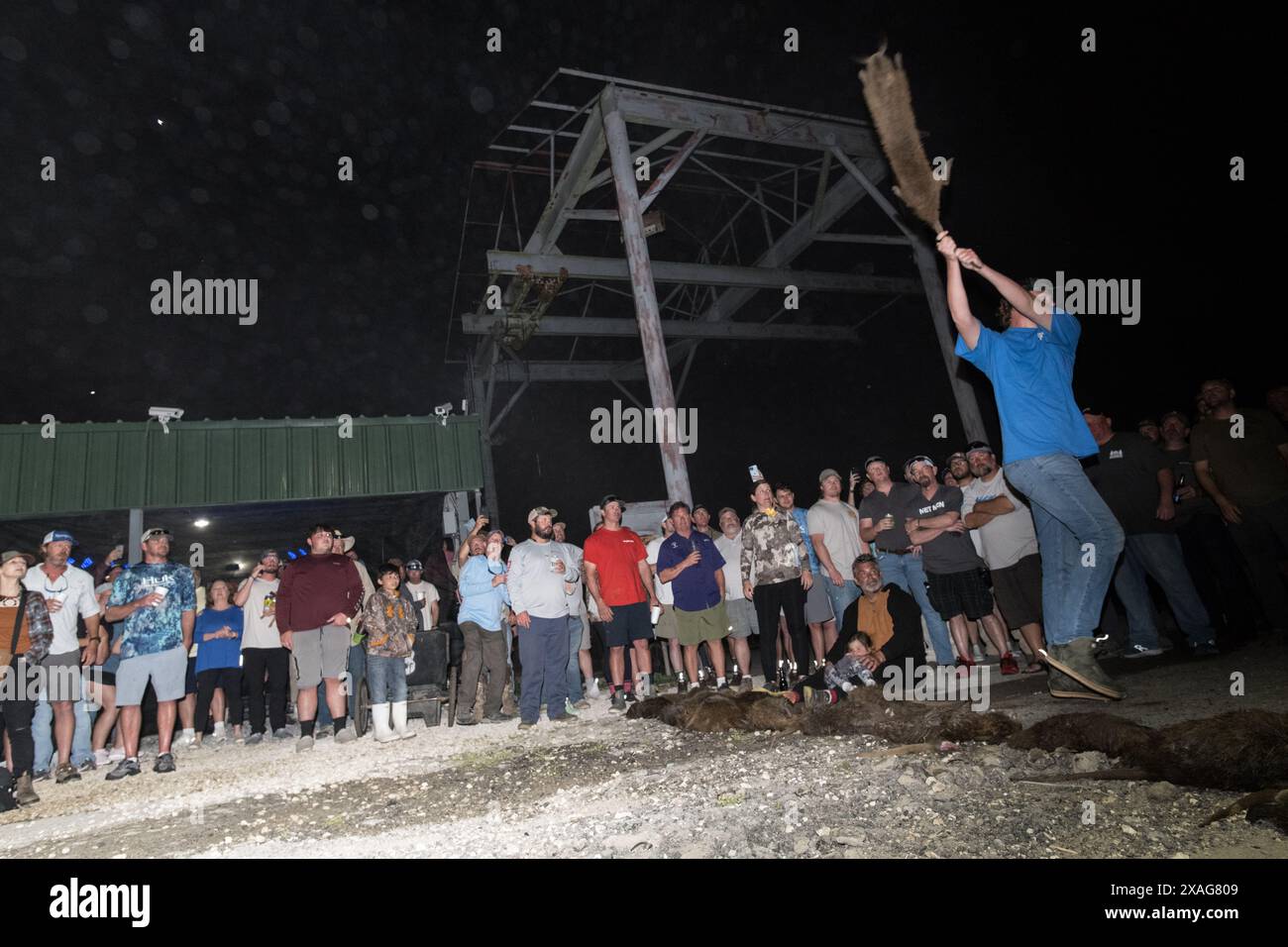 Participant hurls a dead nutria in the "nutria toss" contest at the ...