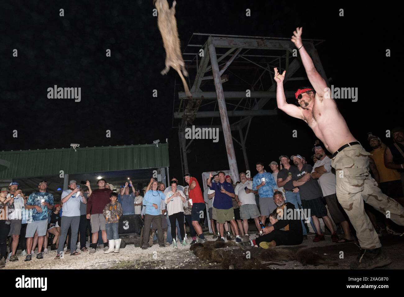 Participant hurls a dead nutria in the "nutria toss" contest at the ...