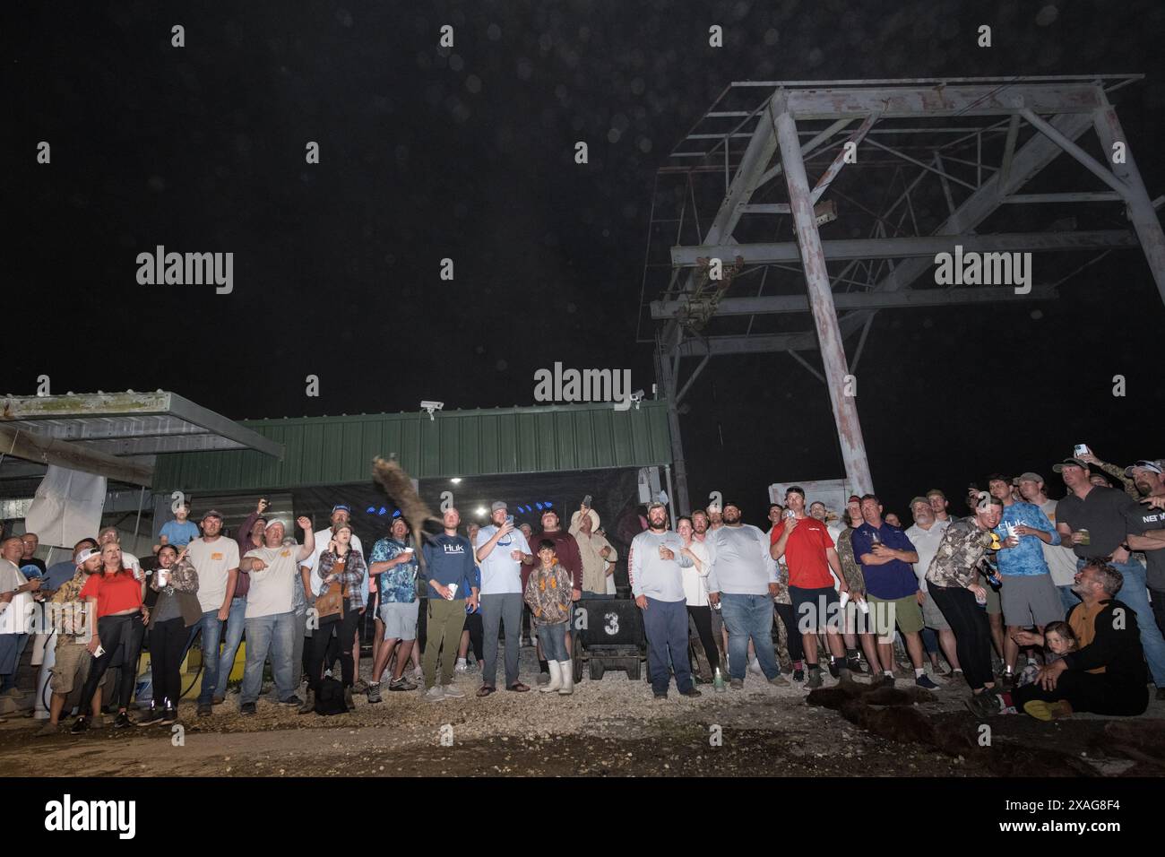 Participant hurls a dead nutria in the "nutria toss" contest at the ...