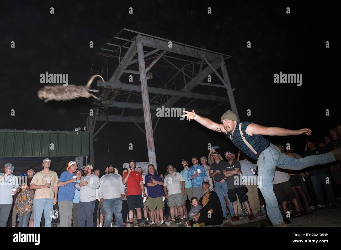 Participant hurls a dead nutria in the "nutria toss" contest at the ...