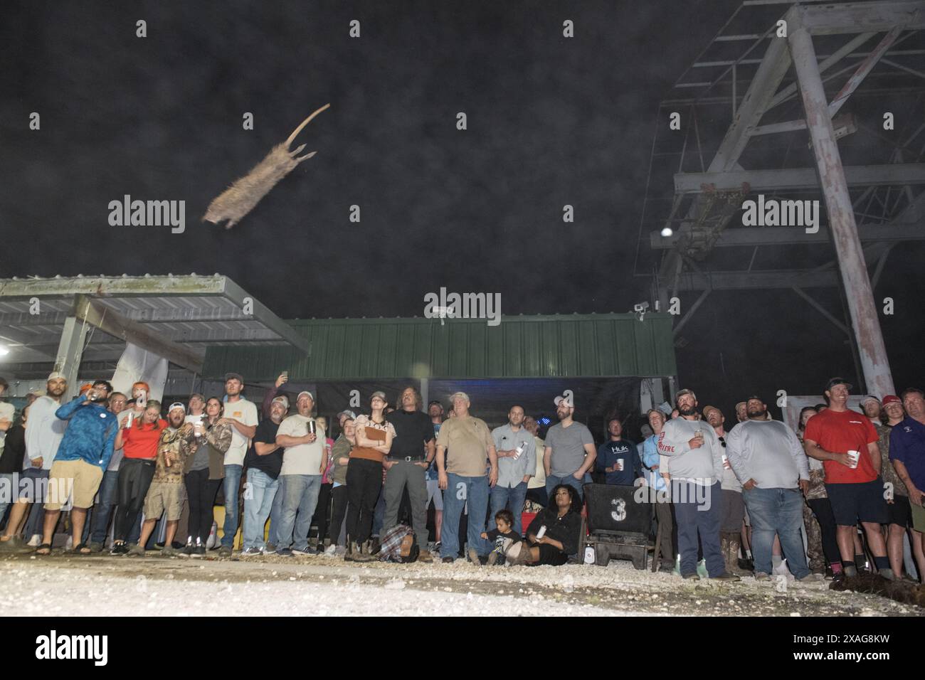 Participant hurls a dead nutria in the "nutria toss" contest at the ...