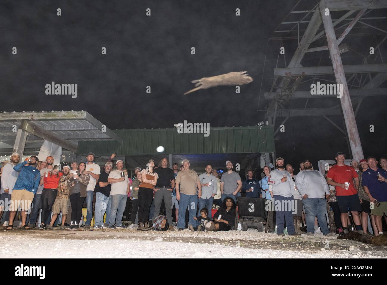 Participant hurls a dead nutria in the "nutria toss" contest at the ...