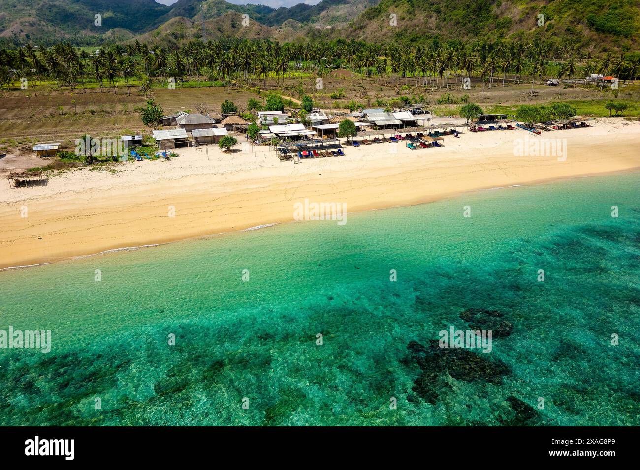 Aerial view of a coral reef and beautiful tropical beach (Lancing Beach ...