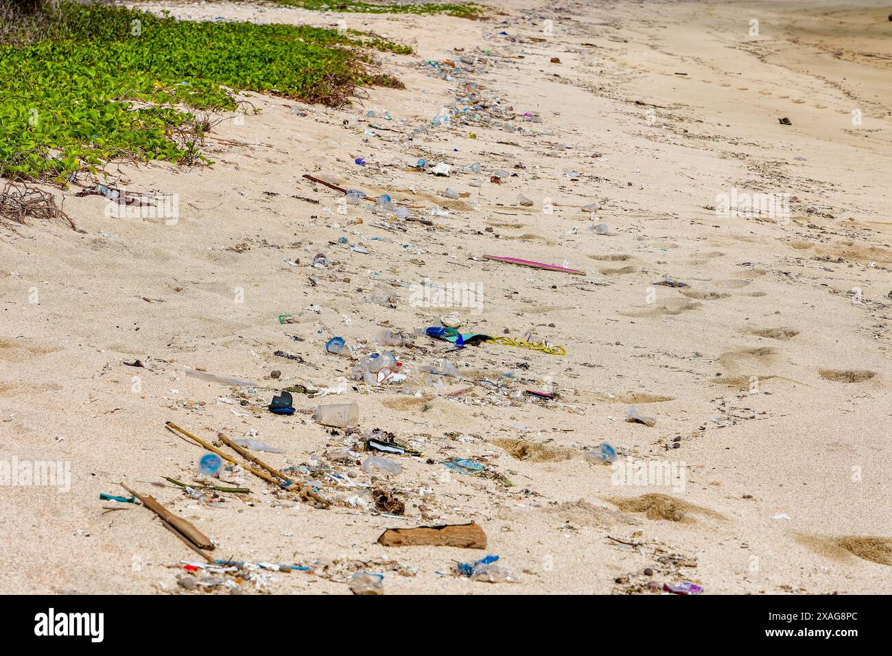 Plastic bottles and other trash washed up on a tropical beach in Lombok ...