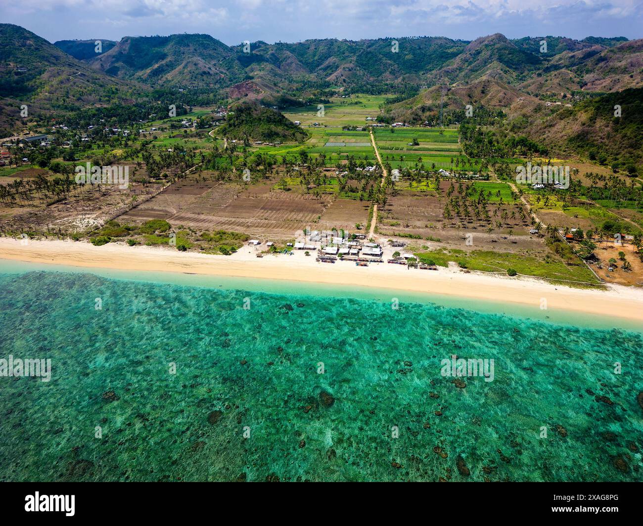 Aerial view of a coral reef and beautiful tropical beach (Lancing Beach ...