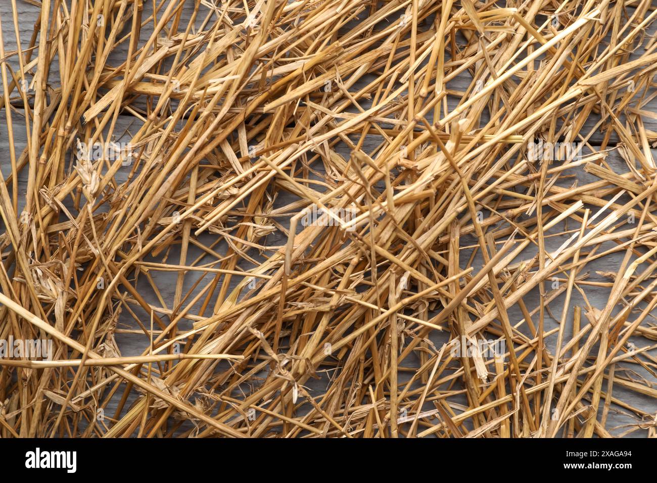 Top view straw pile hi-res stock photography and images - Alamy