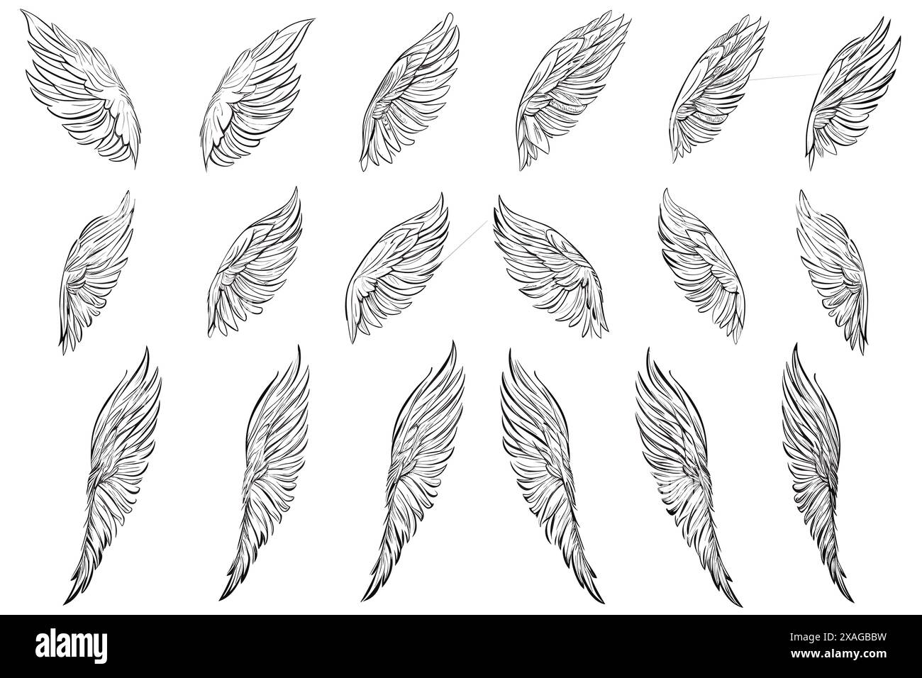 drawn wing feathers Stock Vector Image & Art - Alamy