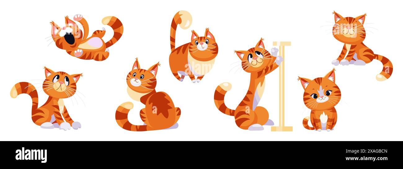 Set of Cute big tabby ginger Cat cartoon flat design illustration Stock Vector Image & Art - Alamy