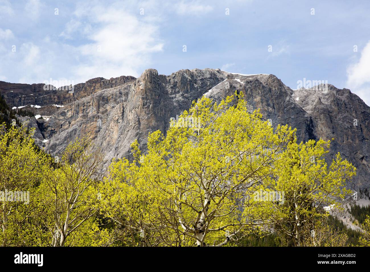 A couple hiking in the Foothills of the Rocky Mountains near Mount ...