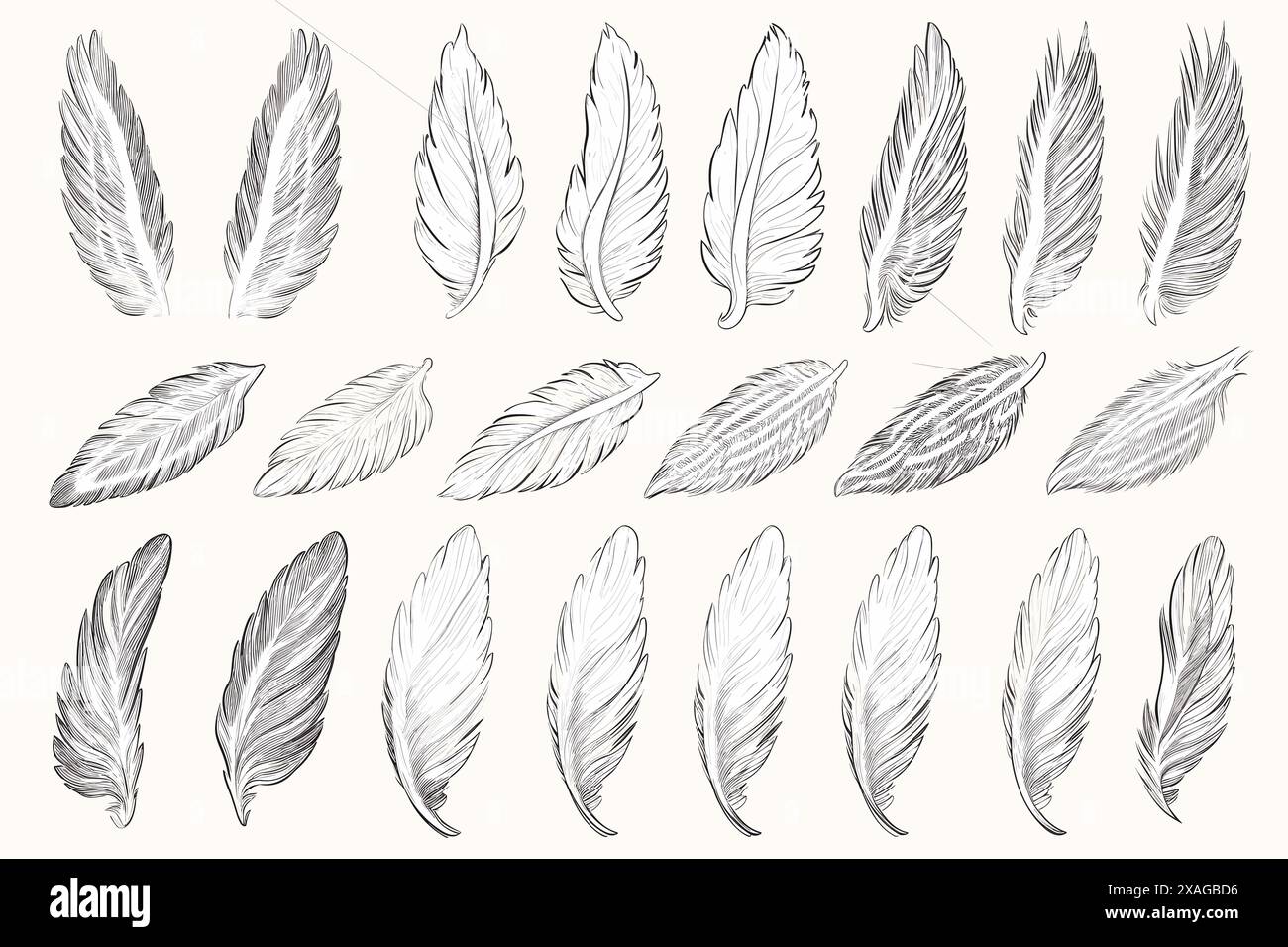Fine wing pattern Stock Vector Images - Alamy
