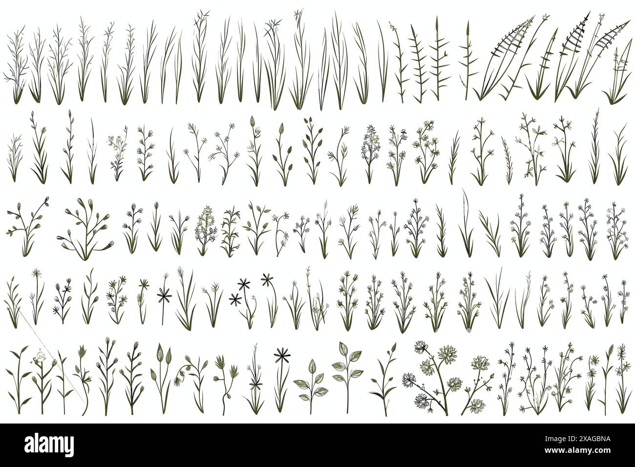 Hand drawn forest leaves Stock Vector Images - Alamy