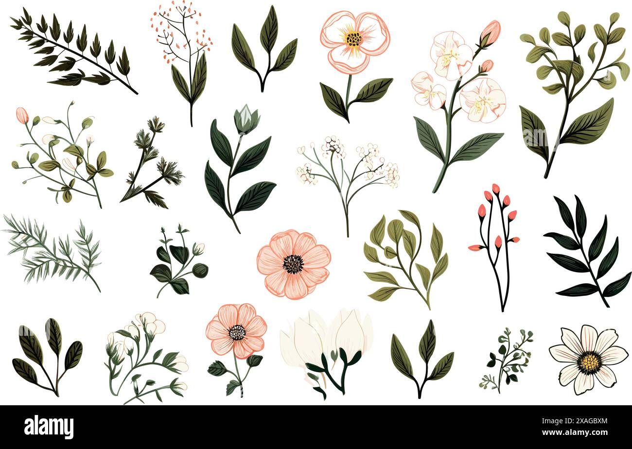 A collection of individual drawn flowers of various kinds Stock Vector ...