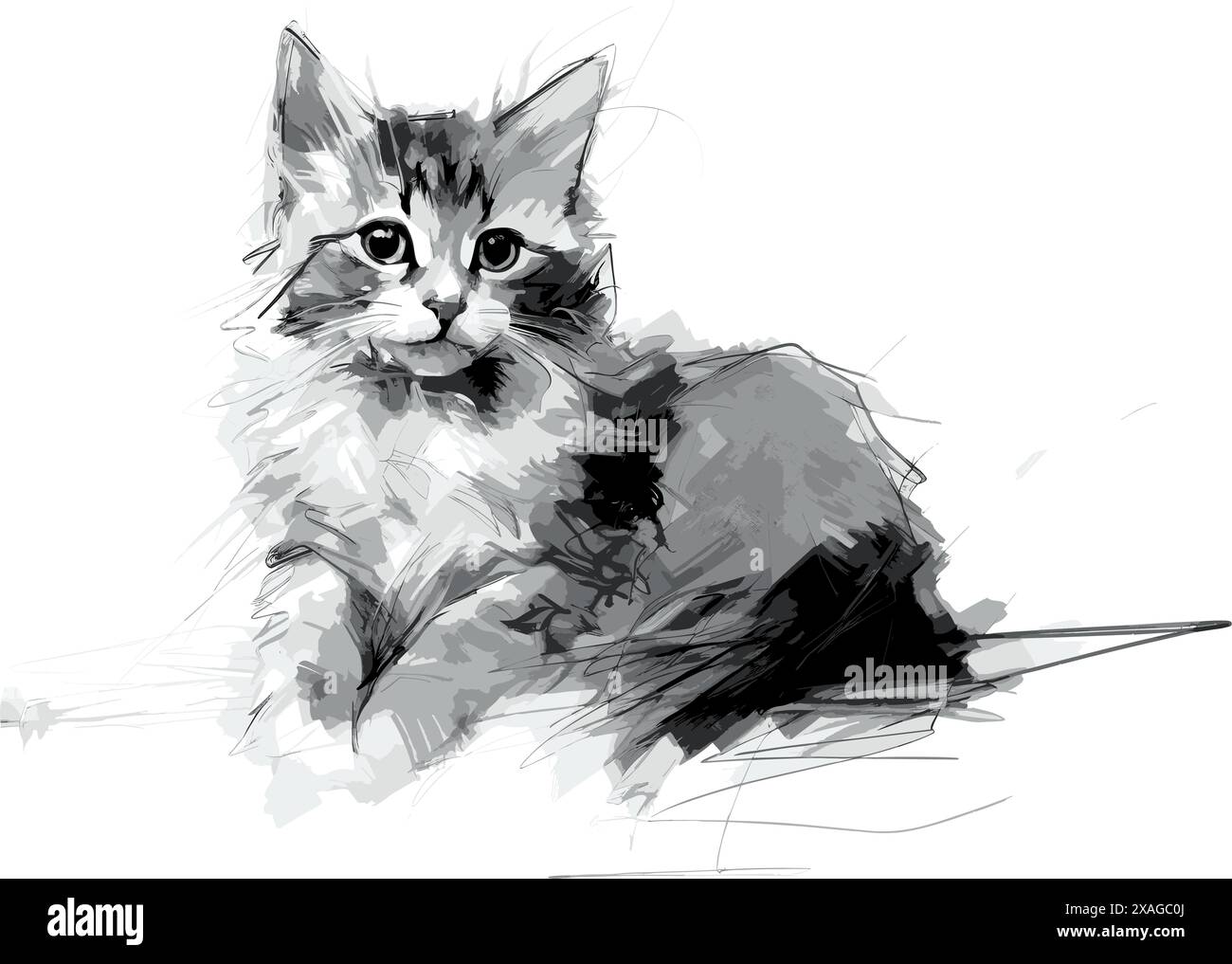 simple cat sketch on white backgorund Stock Vector Image & Art - Alamy