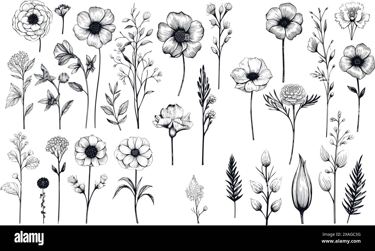 Illustration of various assorted flowers hi-res stock photography and ...