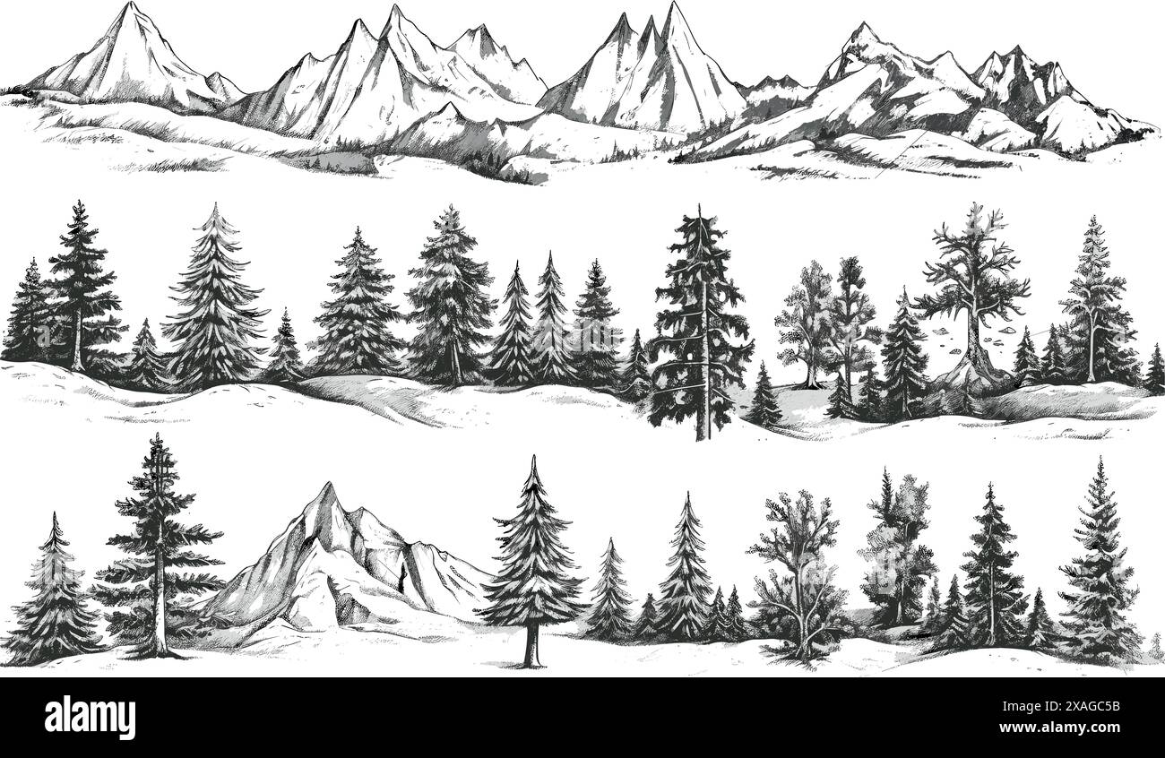 Picturesque landscape forest Stock Vector Images - Alamy