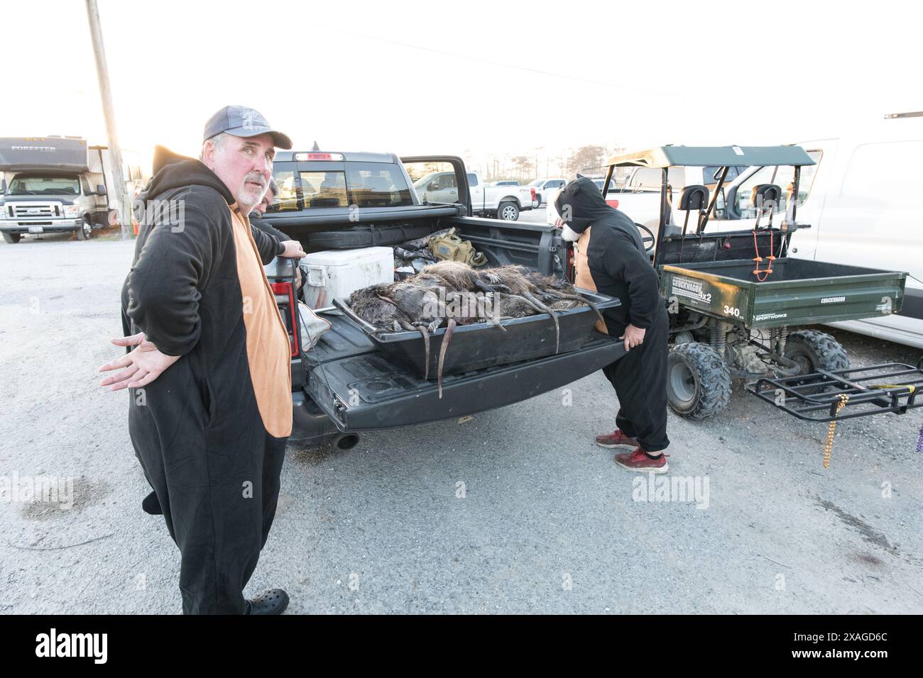 Hunters unload a truckload of hunted nutria carcasses at Venice Marina ...