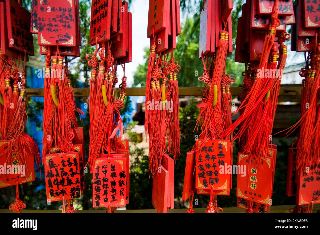 Traditional New Year wishes on red charms on a wishing tree at the ...