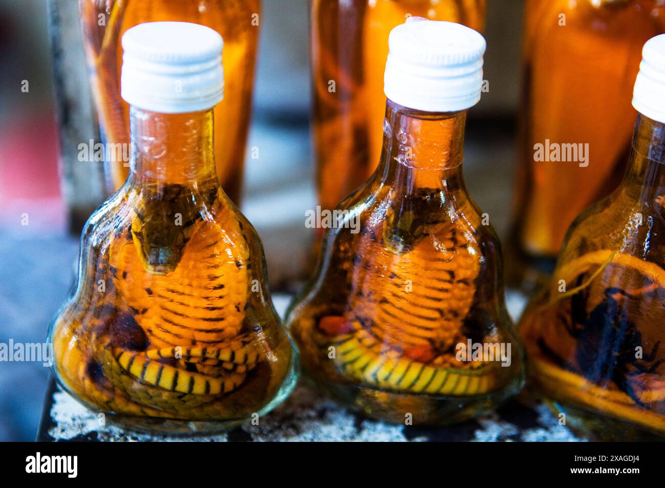 Snake wine shop hi-res stock photography and images - Alamy
