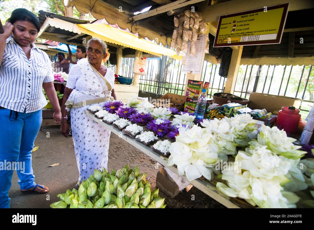 A colorful flower market in Kandy, Sri Lanka Stock Photo - Alamy