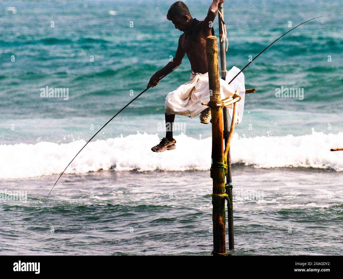 Stilt fishing in southern Sri Lanka Stock Photo - Alamy