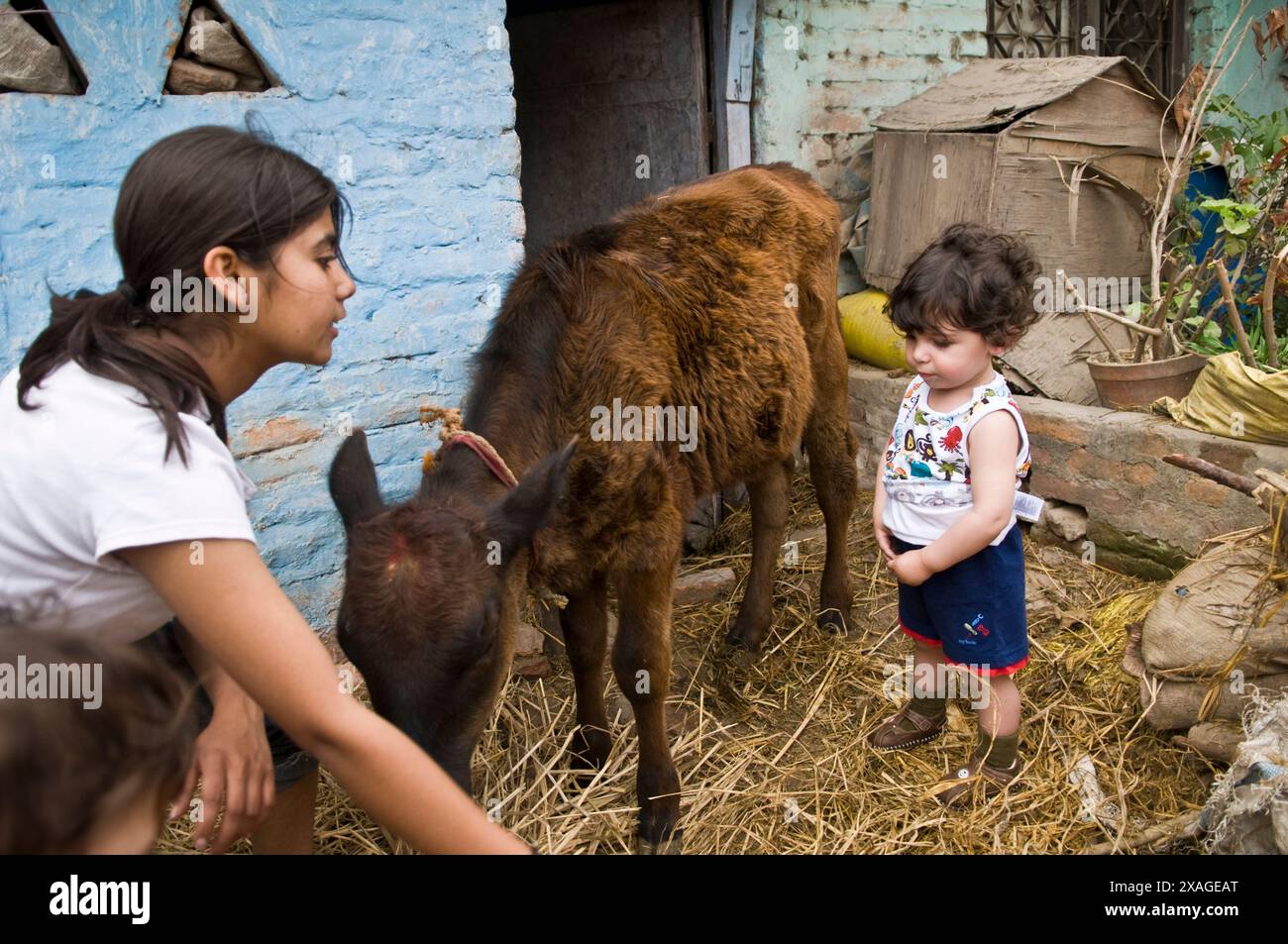 Children playing with animals hi-res stock photography and images - Alamy