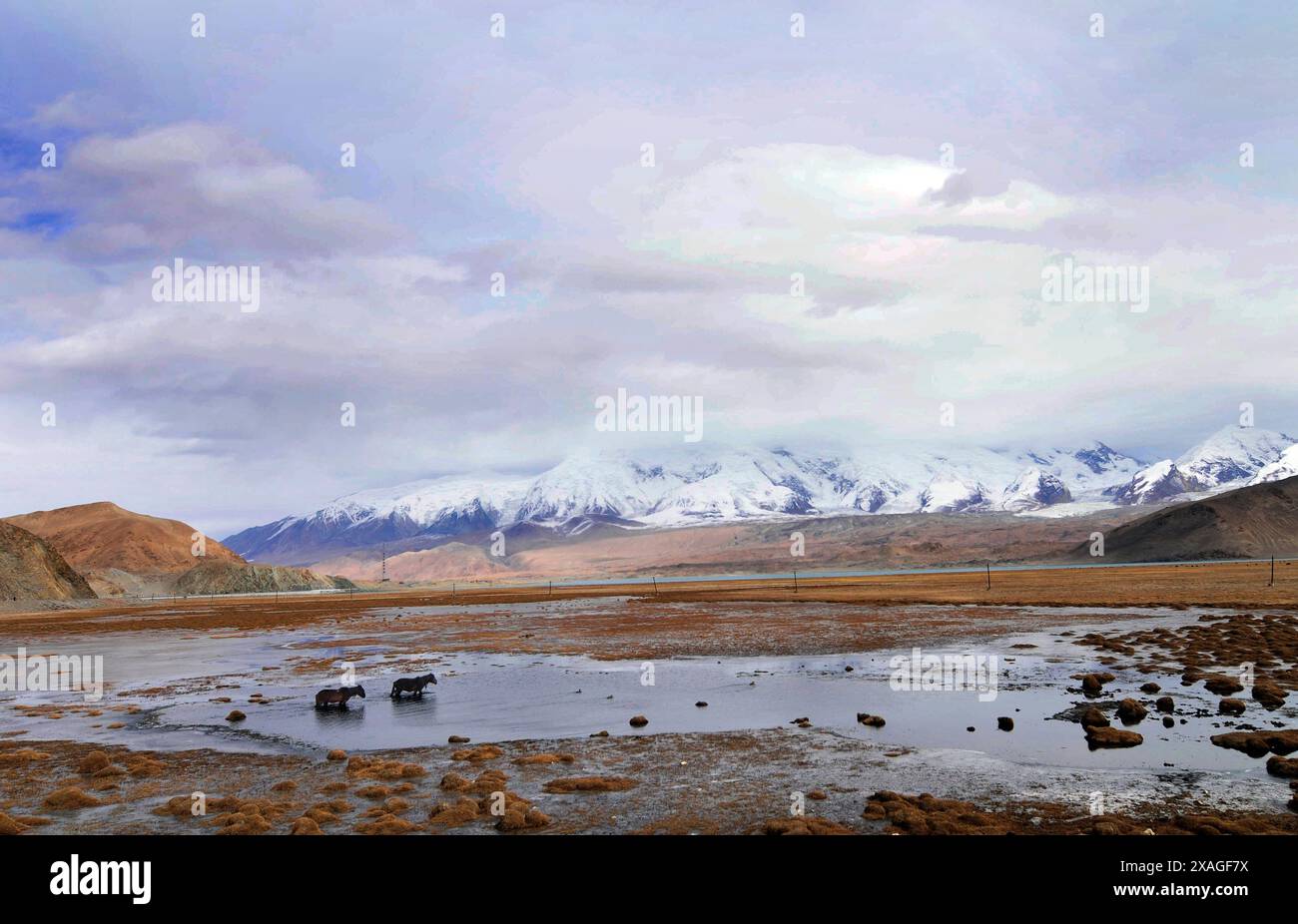 Karakul lake in the Pamir mountains, Xinjiang, China Stock Photo - Alamy
