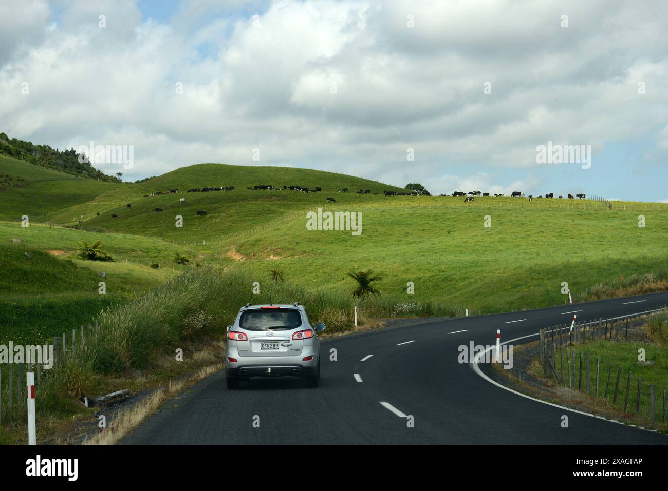 Beautiful landscapes in the central regions of the northern Island in ...