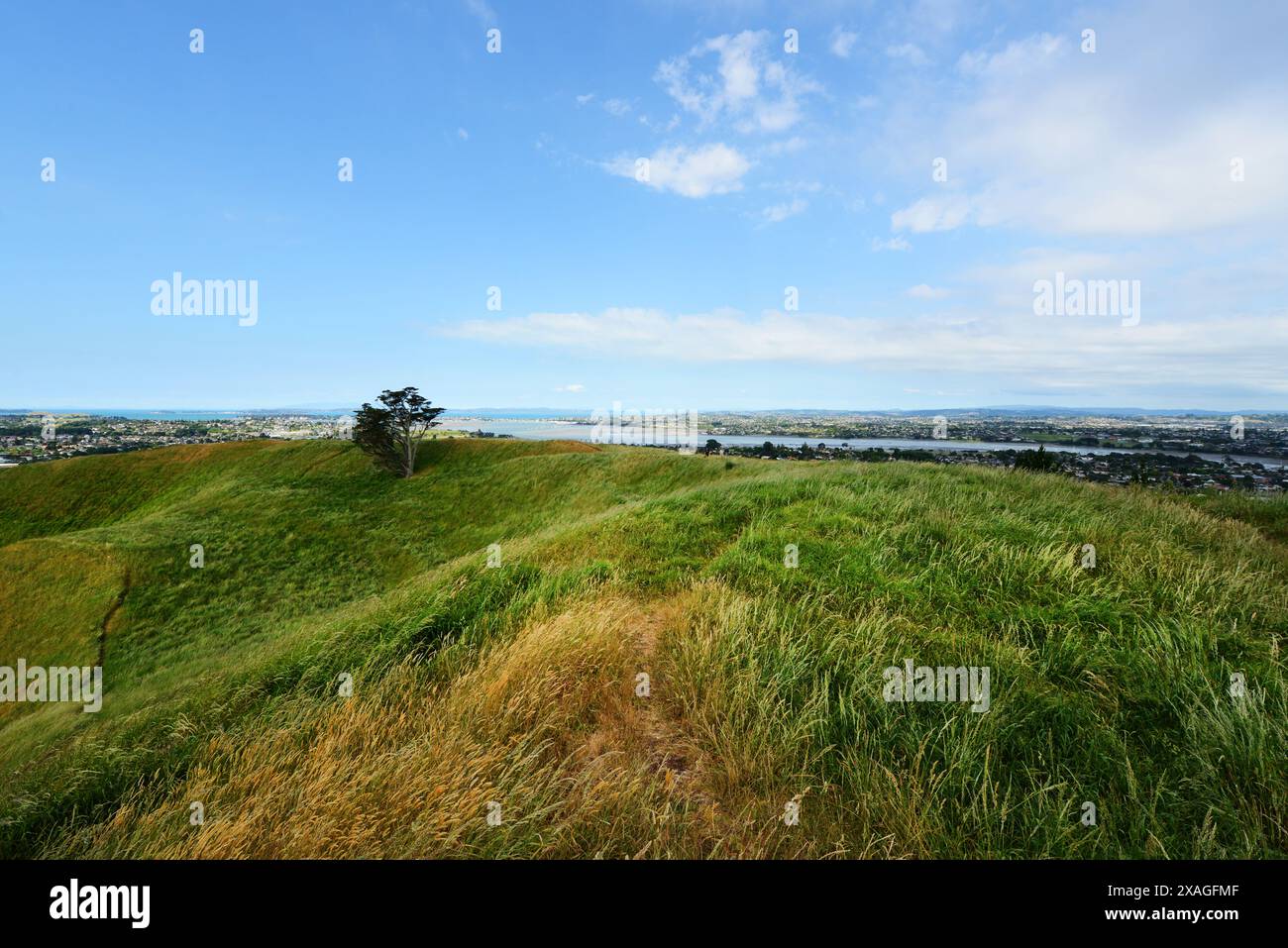 Maungarei / Mount Wellington is a 135-metre high volcanic peak of the ...