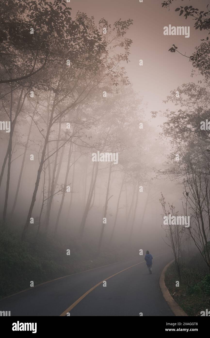 The misty forest surrounded by the dense fog in Yunnan, China ...
