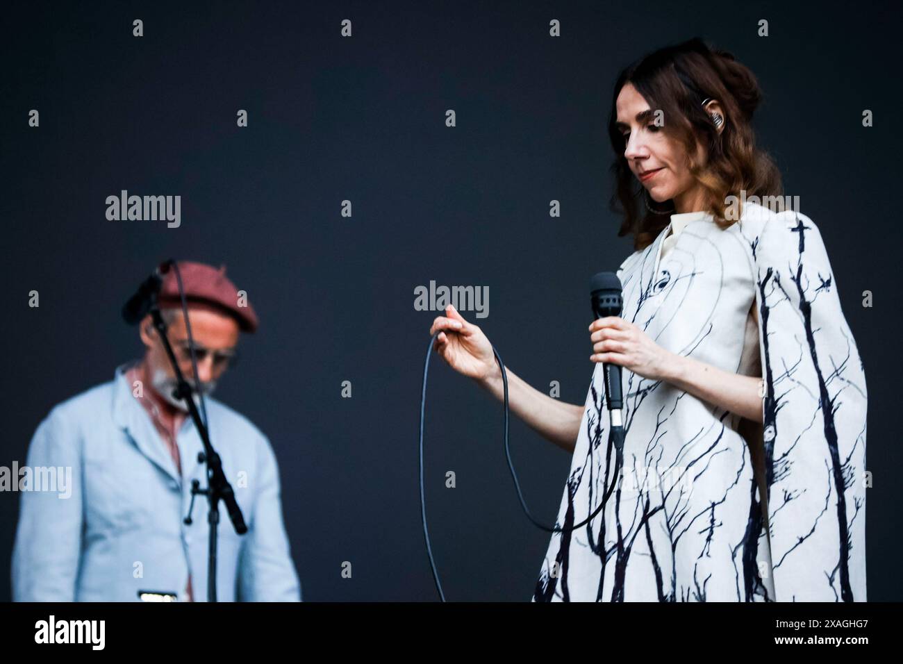 English singer-songwriter, Polly Jean Harvey, well knowns as PJ Harvey ...