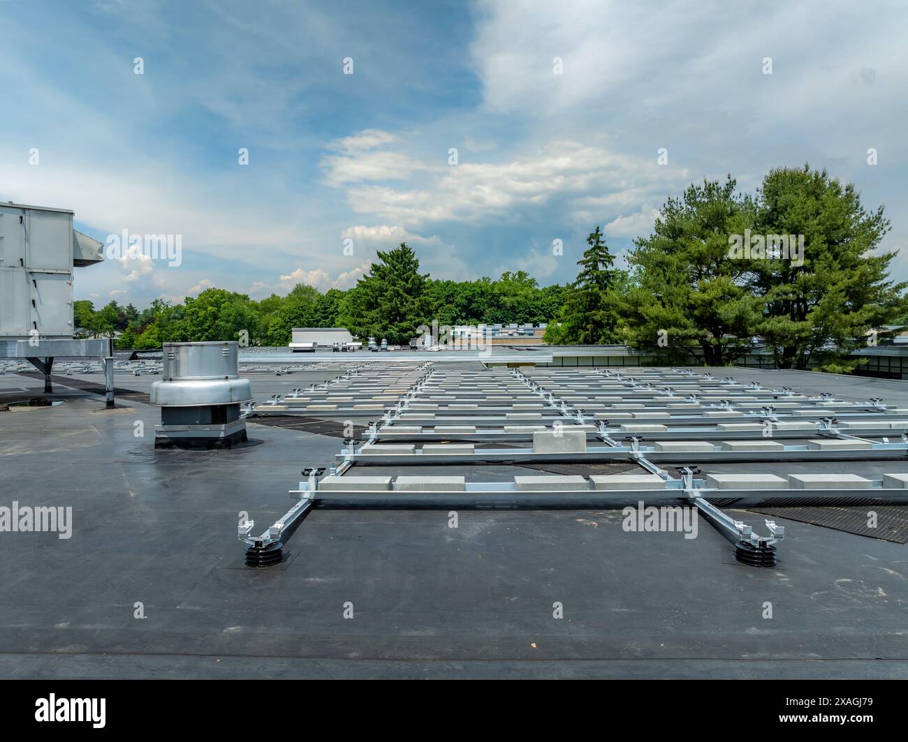 Photo for framing hi-res stock photography and images - Alamy