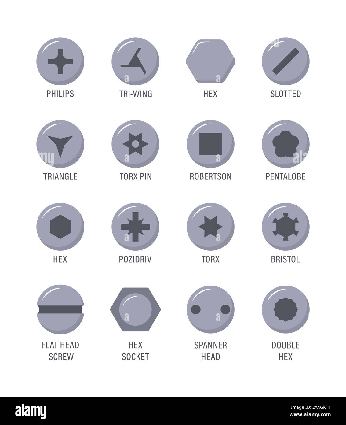 Set of metal screw heads. Stainless steel bolts. Silver nails and ...