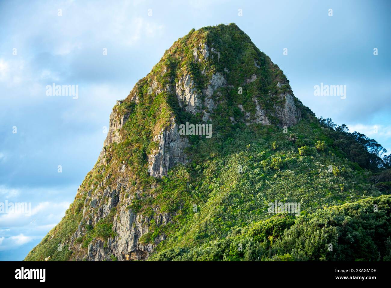 Paritutu Rock in New Plymouth - New Zealand Stock Photo - Alamy