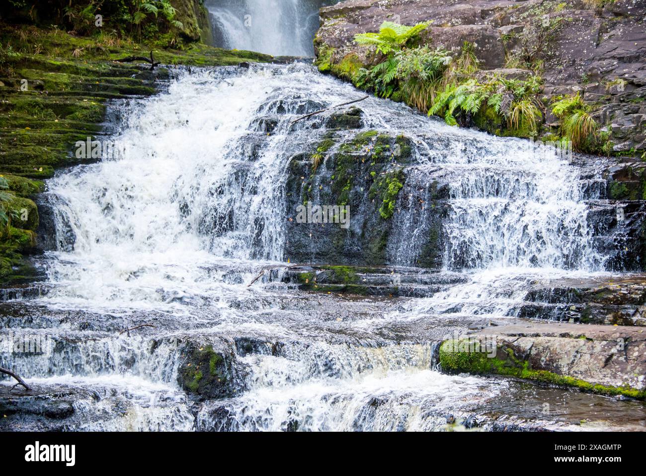 Mclean falls at catlins forest park hi-res stock photography and images ...