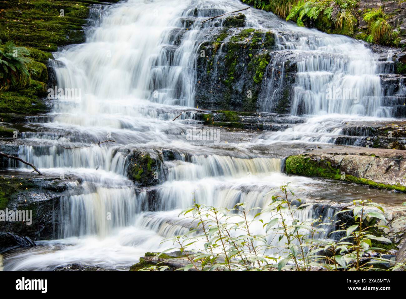 Mclean falls at catlins forest park hi-res stock photography and images ...