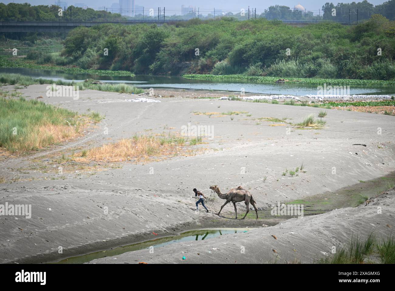 NEW DELHI, INDIA - JUNE 6: A view of Yamuna River as the water gets ...