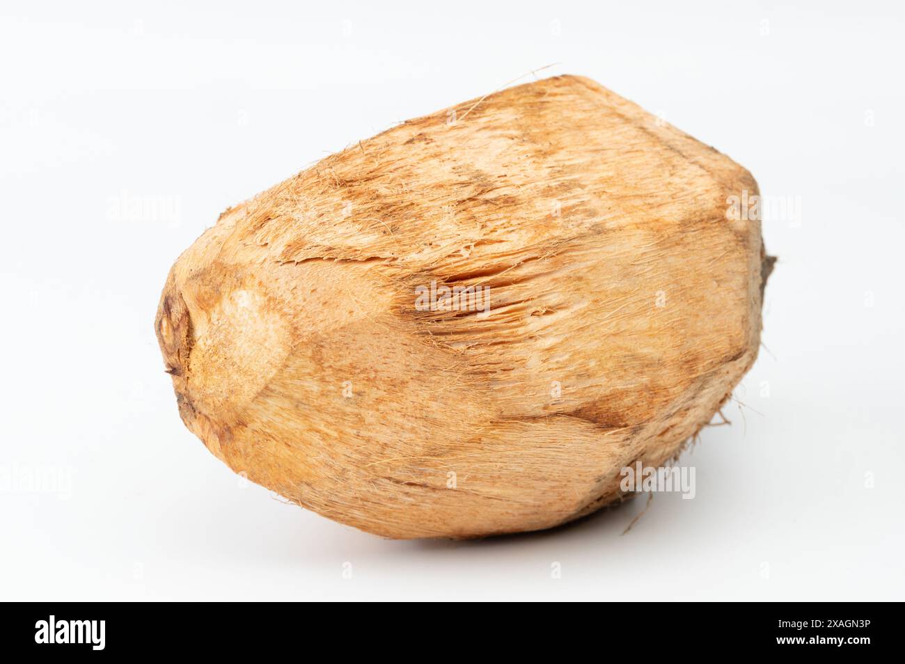 Fresh cut of coconut isolated on white studio background Stock Photo ...