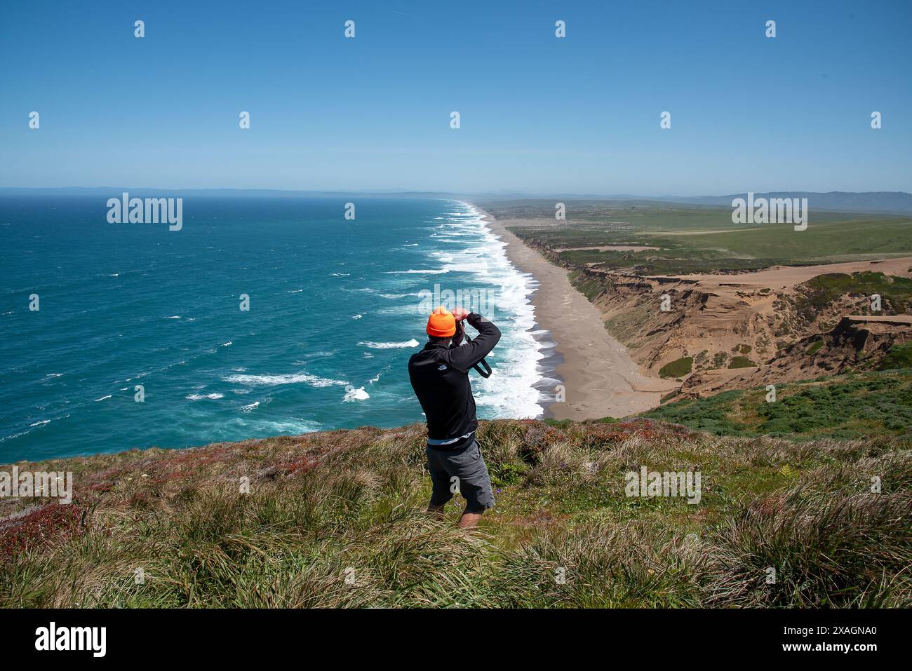 Point reyes national park hi-res stock photography and images - Alamy