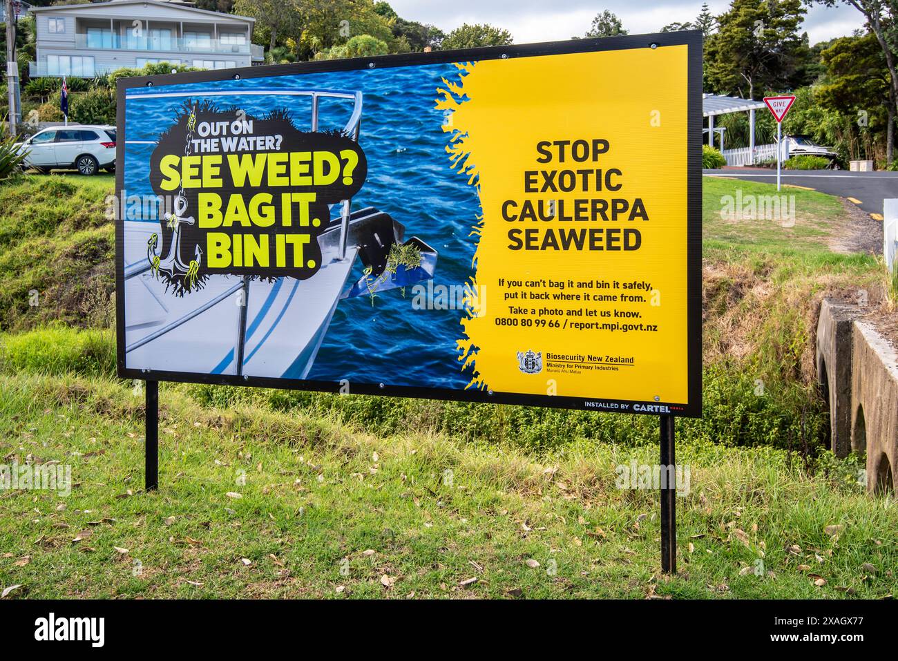 A sign in Russel, New Zealand warning of the risk of Exotic Caulerpa a ...