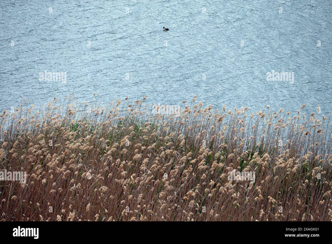 Prespa lake aerial hi-res stock photography and images - Alamy