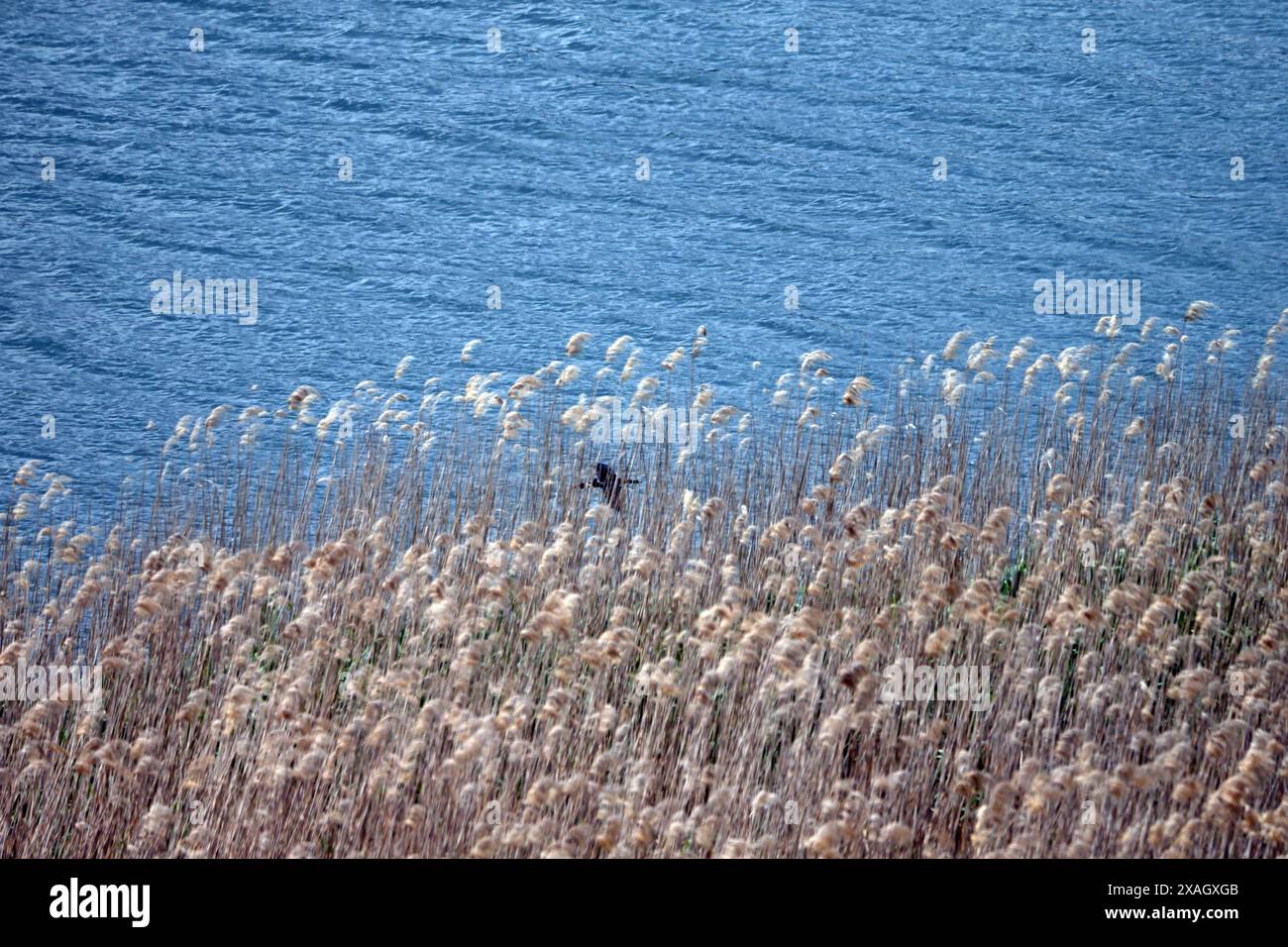 Prespa lake aerial hi-res stock photography and images - Alamy