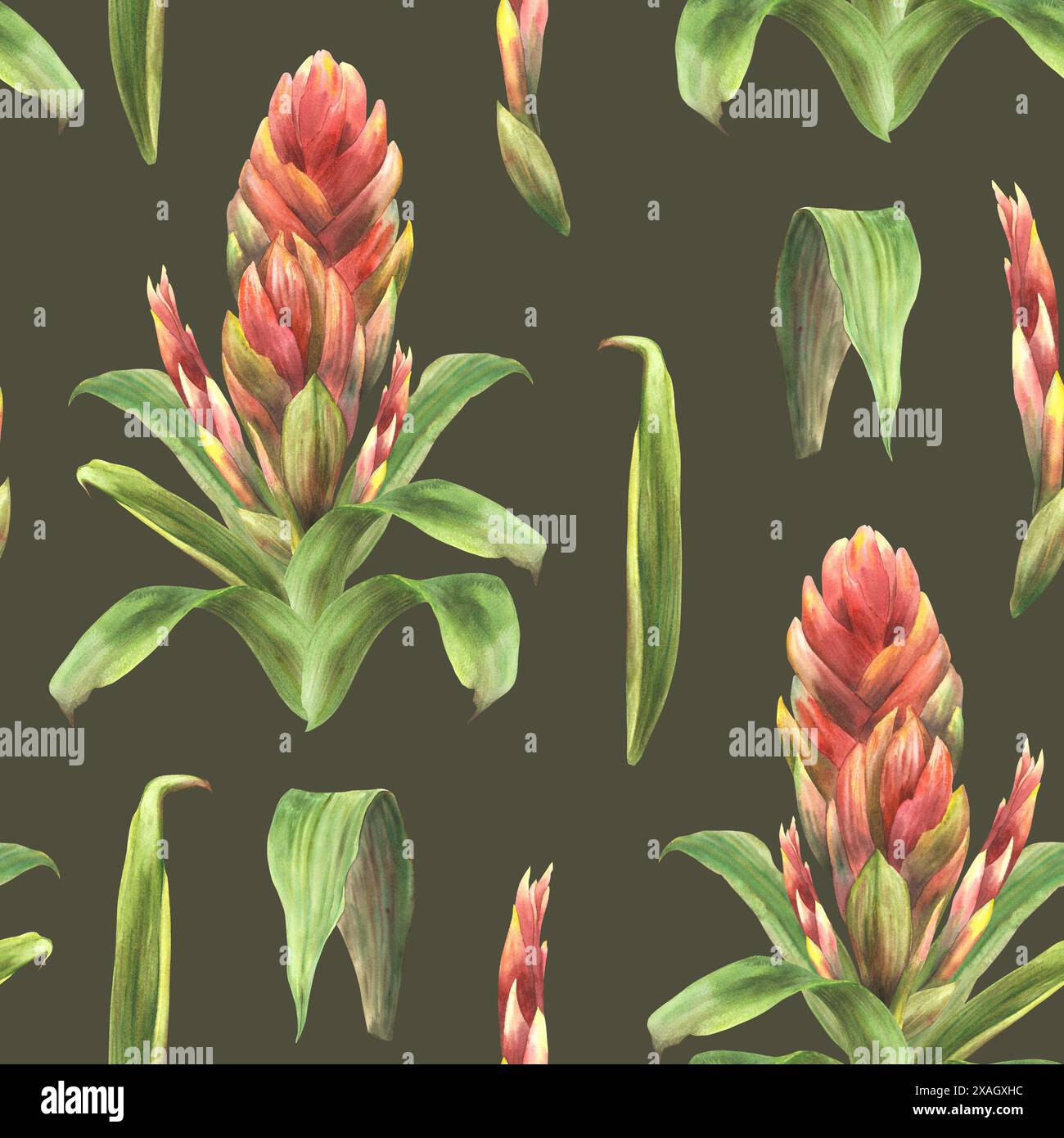Tropical bromeliad flower seamless pattern, red buds with green leaves ...