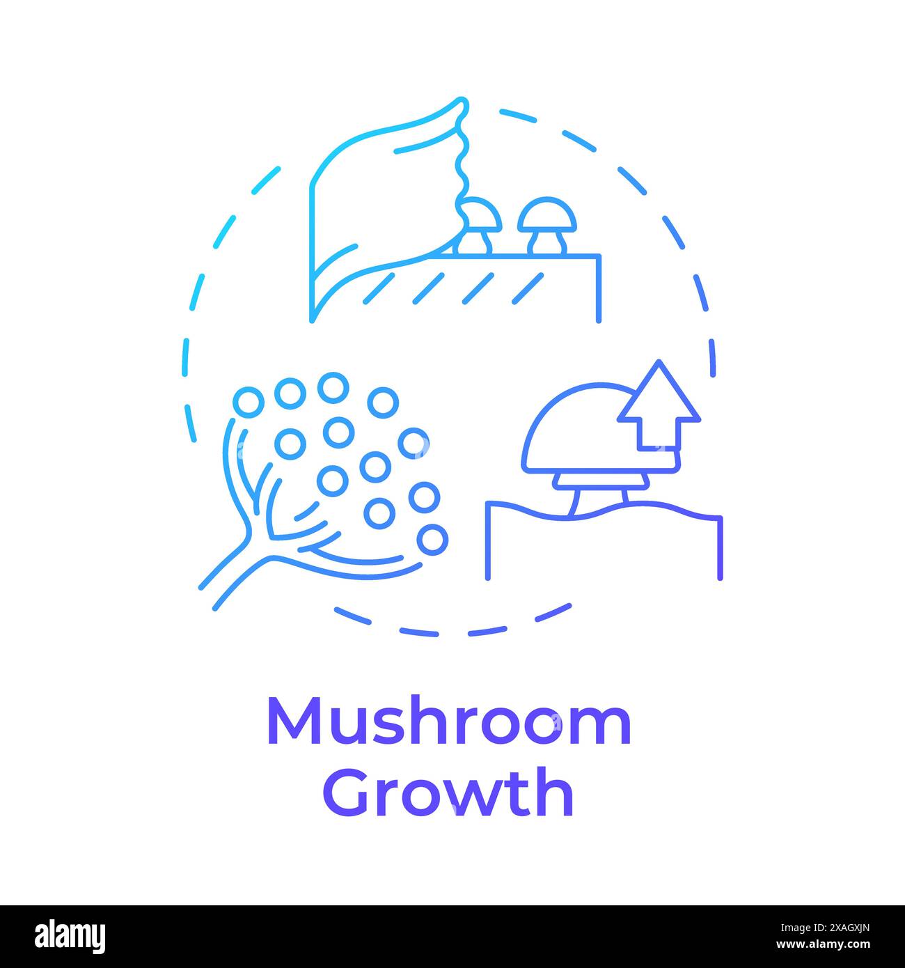 Mushroom growth blue gradient concept icon Stock Vector Image & Art - Alamy