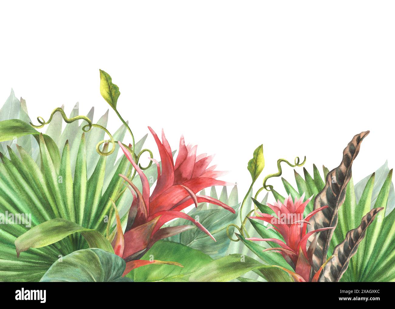 Watercolor Tropical leaves and flowers. Floral banner with palm leaf ...