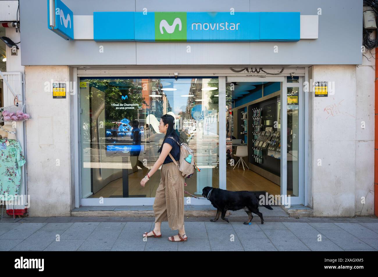 Madrid, Spain. 01st June, 2024. A pedestrian walking her dog is seen ...