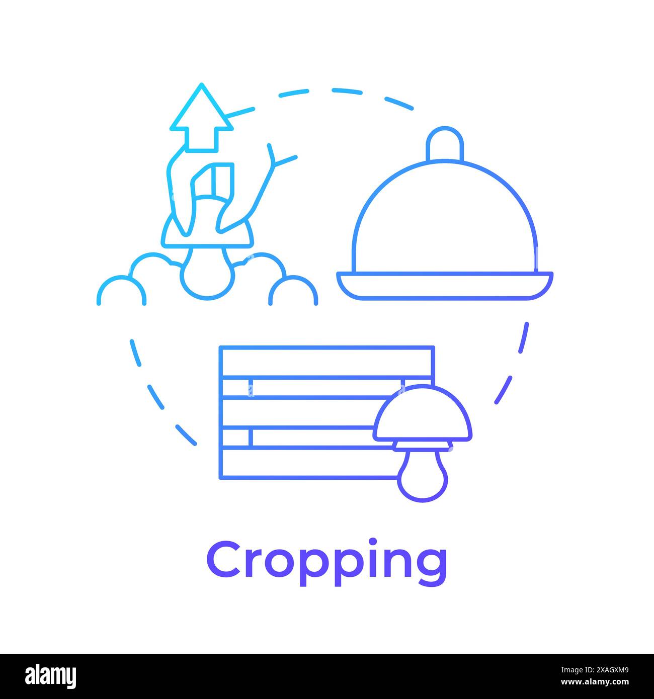 Cropping shape hi-res stock photography and images - Alamy