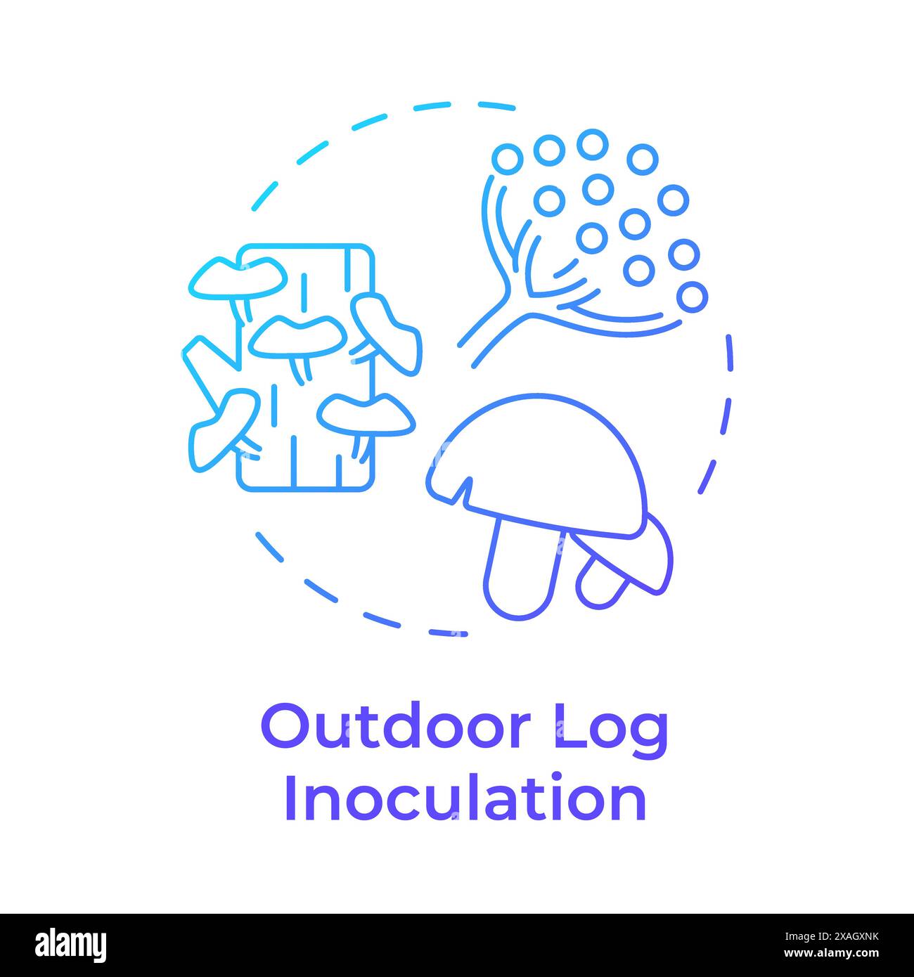 Inoculation technique Stock Vector Images - Alamy