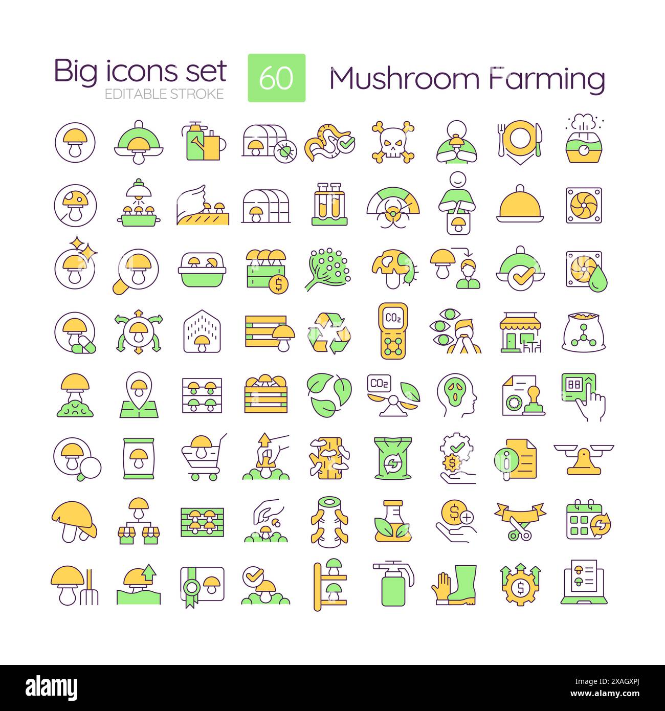 Mushroom farming and cultivation RGB color icons set Stock Vector Image ...